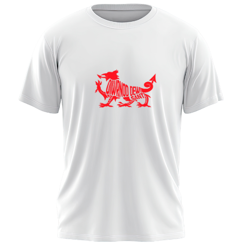 Diwrnod Dewi Sant - Dragon Design – Top Mark Uniforms